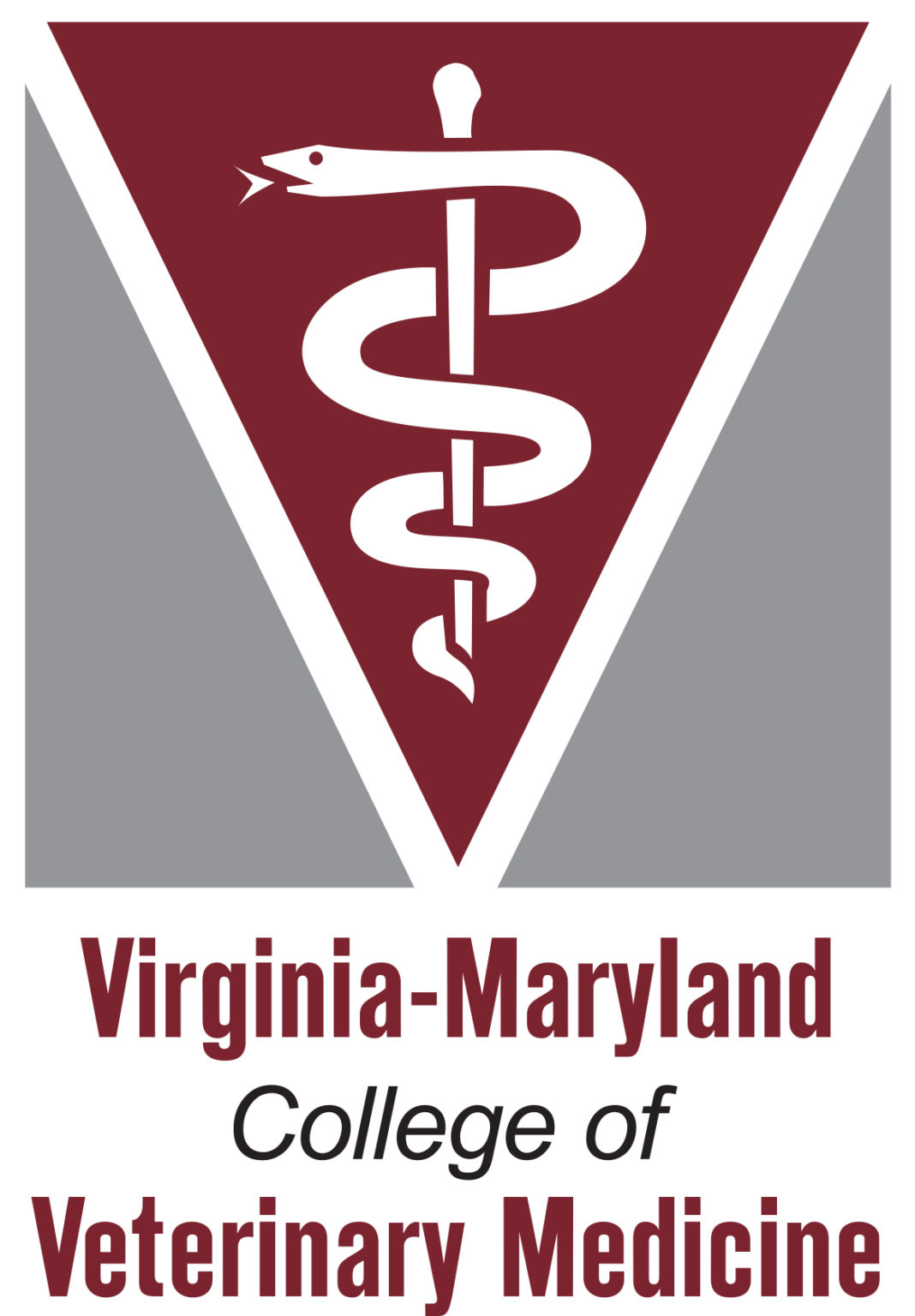 New Foundation Program Funds Veterinary Clinical Trials - Focused ...