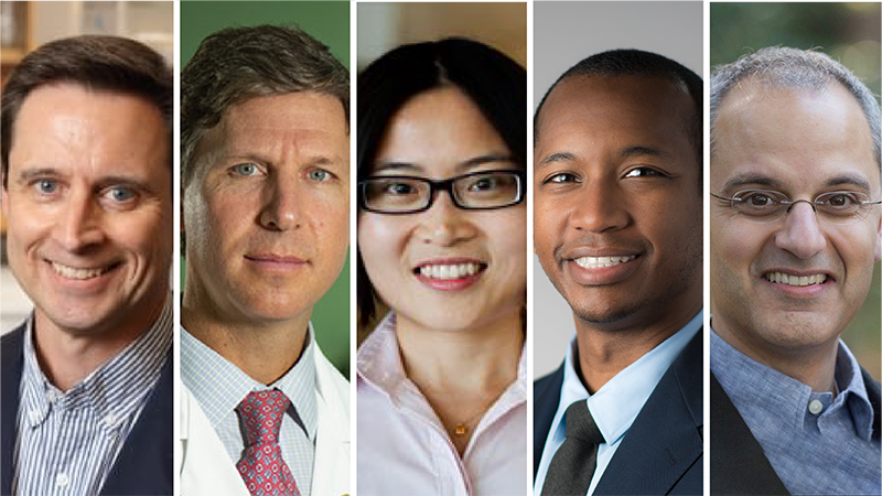 Research Updates: The Andrew J. Lockhart Memorial Prize Recipients ...