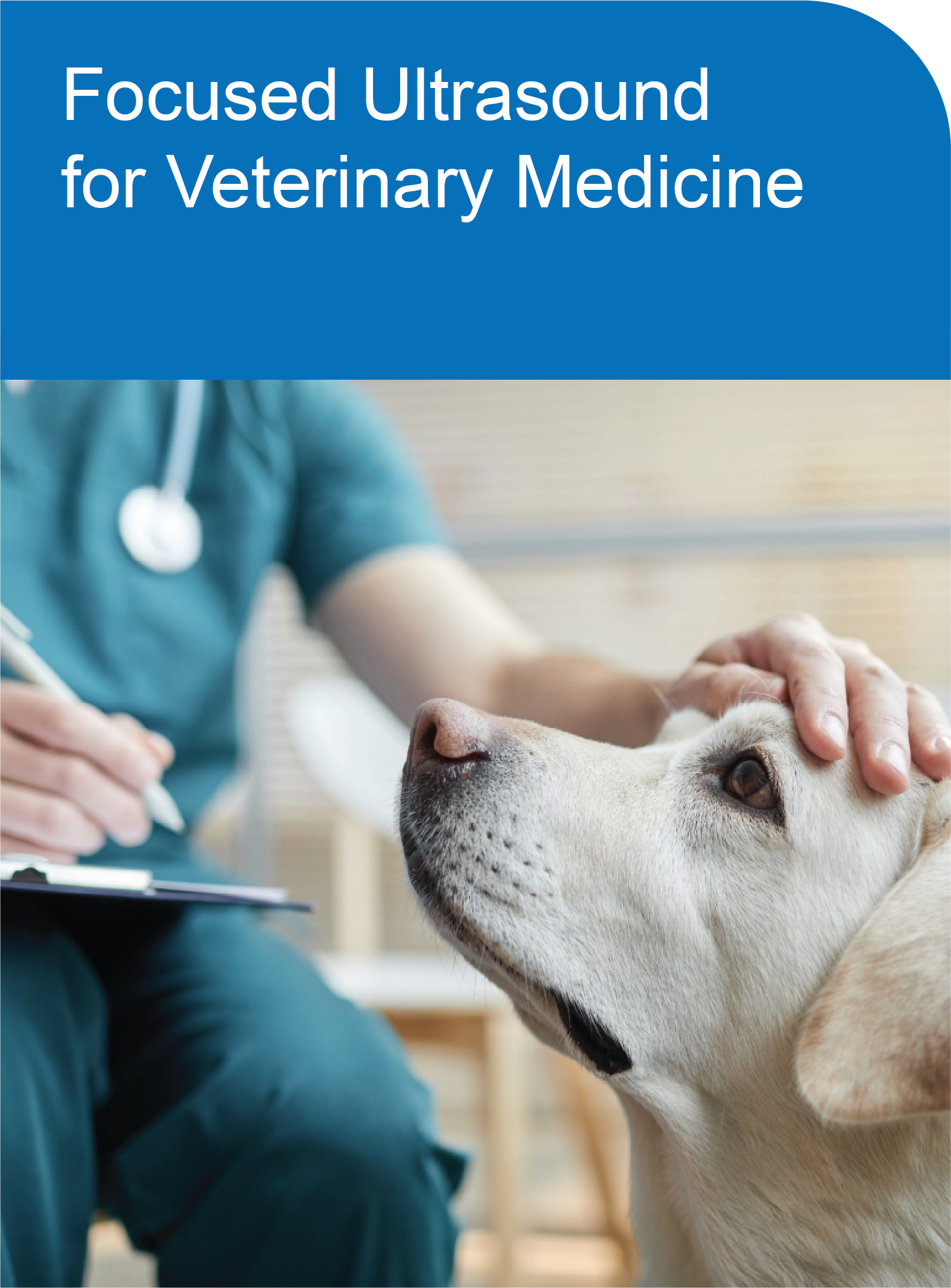 The Foundation - Focused Ultrasound Foundation